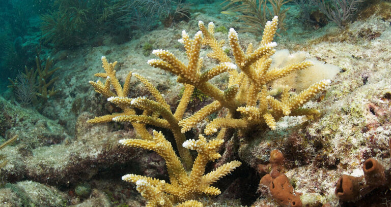 Loggerhead Marinas Blog