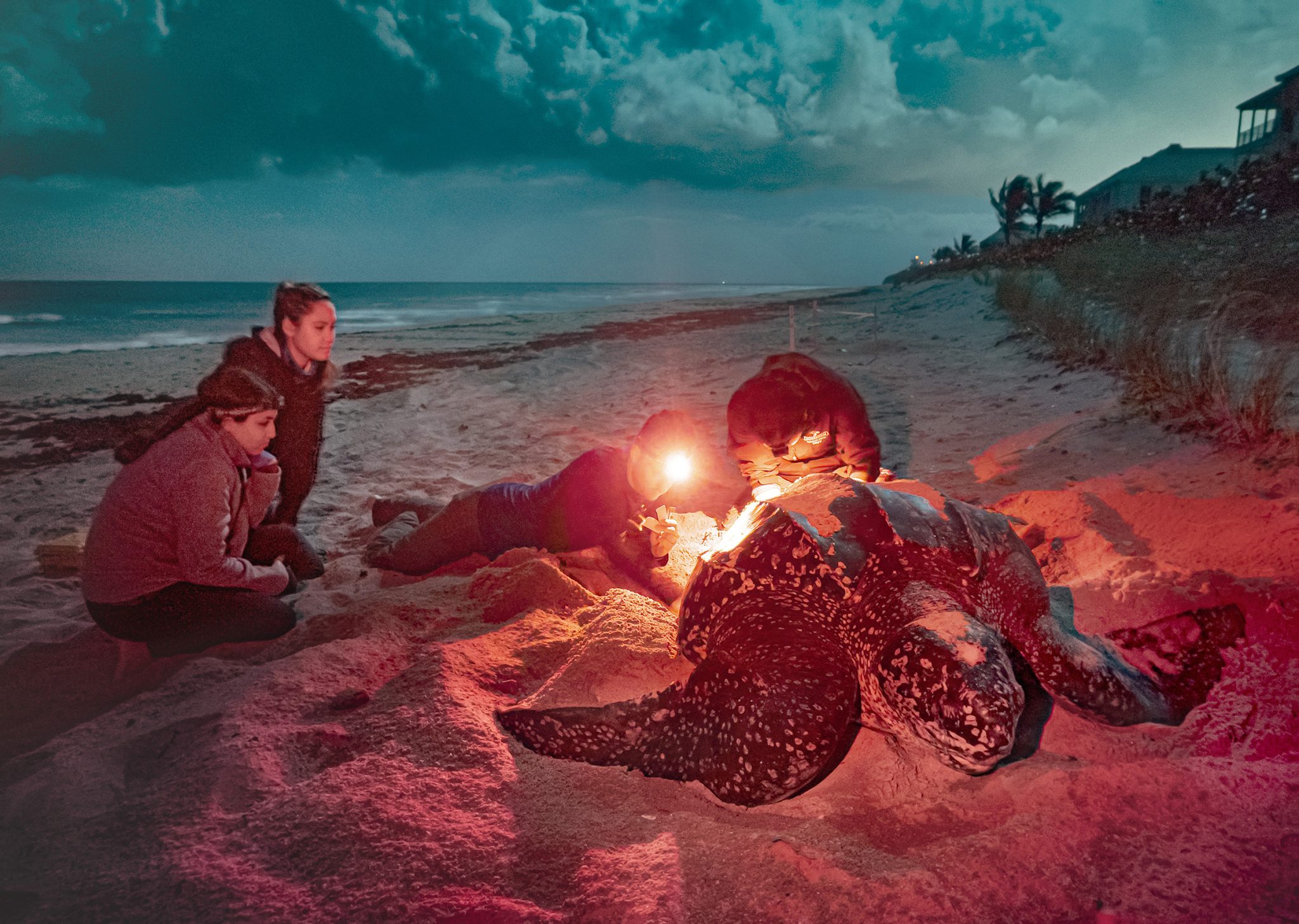 Loggerhead Marinas Blog